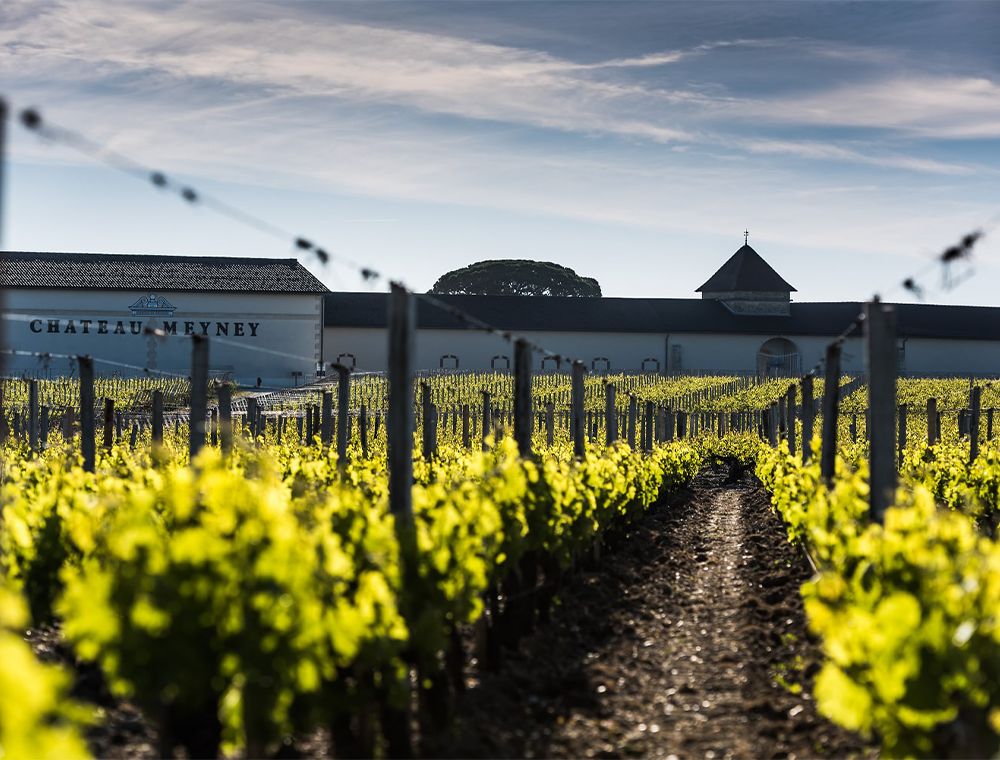 Château Meyney – 2023 – Bordeaux Premium