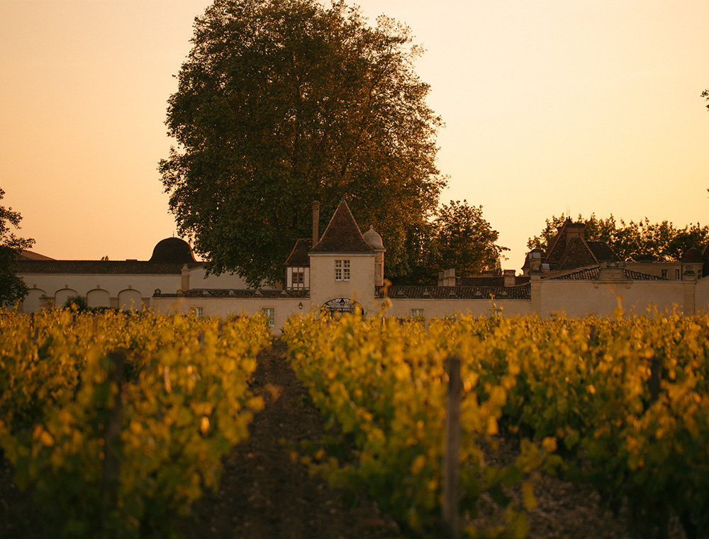 Château Rauzan-Ségla – 2023 – Bordeaux Premium